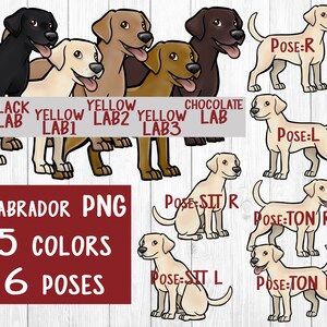Labrador Clipart Yellow Buff Black Chocolate Lab Clip Art Instant ...