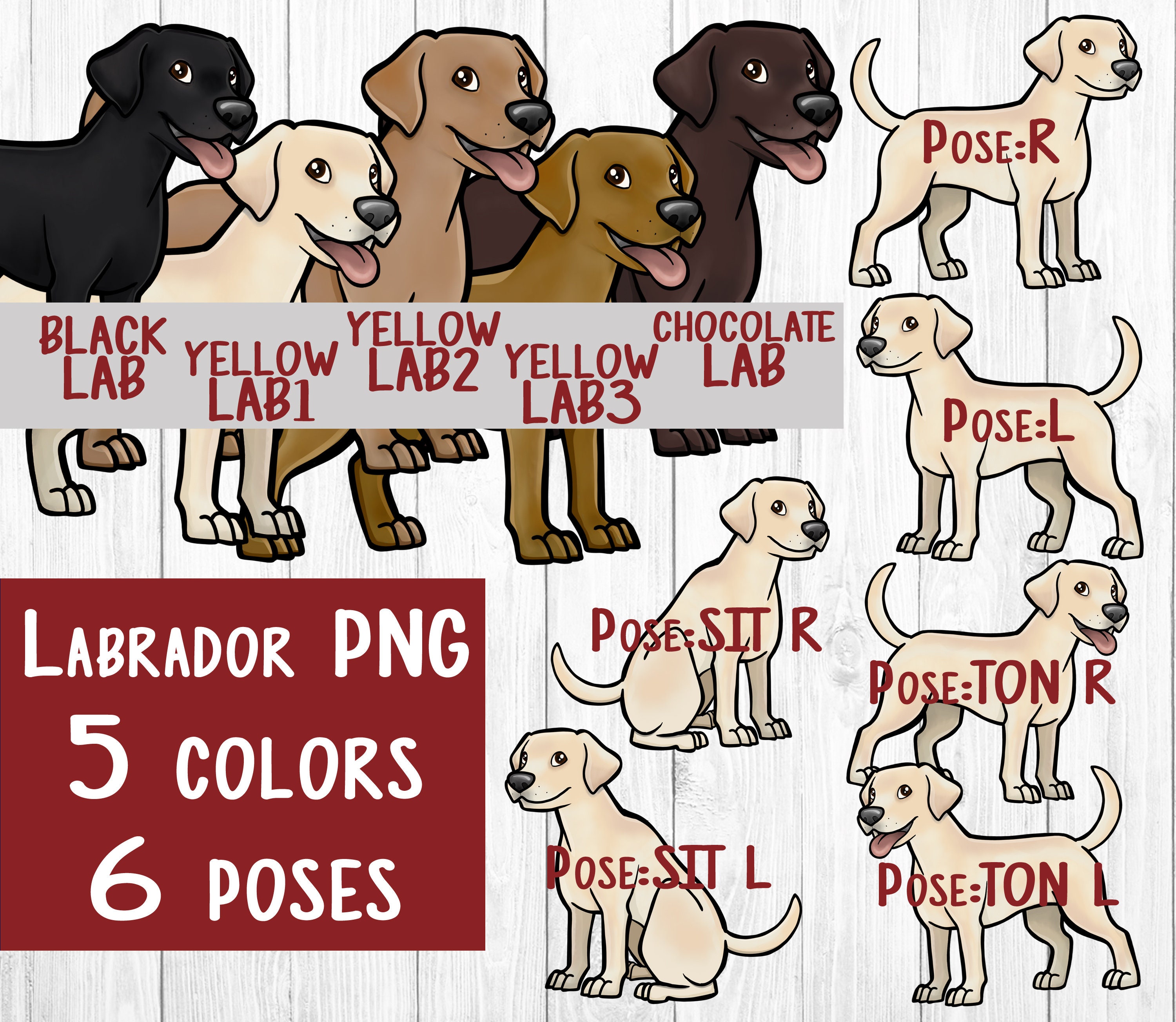 Labrador Clipart Yellow Buff Black Chocolate Lab Clip Art | Etsy