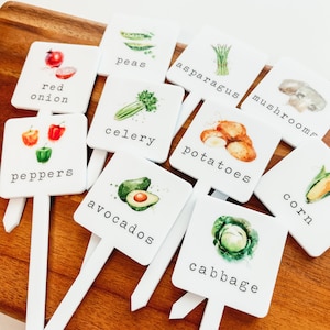 Fruit and Vegetable Garden Stakes, Vegetable Garden Labels, Plant ...