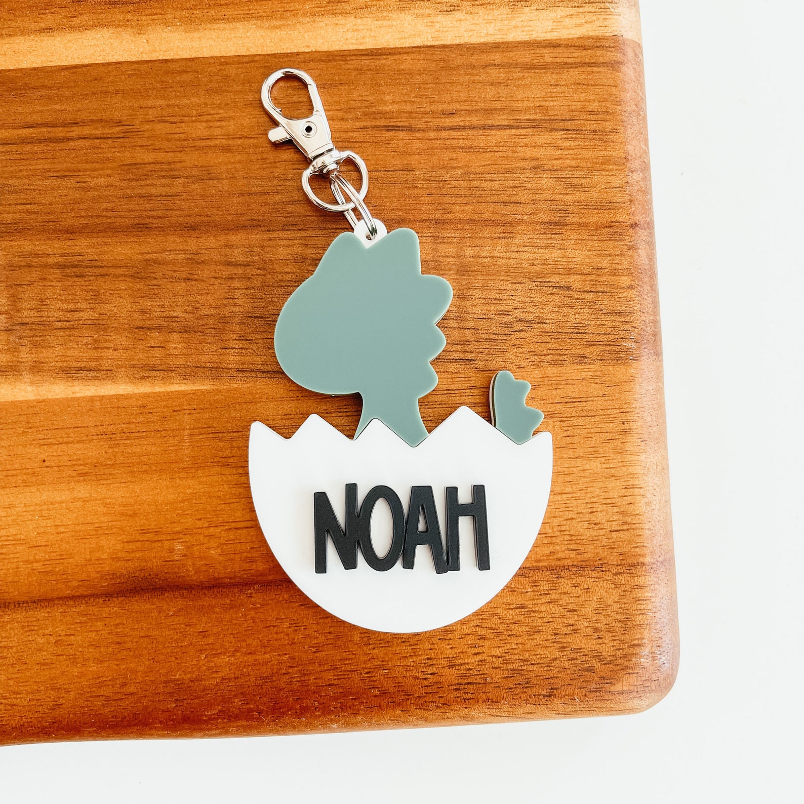 Dinosaur Backpack Tag, Acrylic Bag Tag, Dino Bag Tag, Custom Name ...