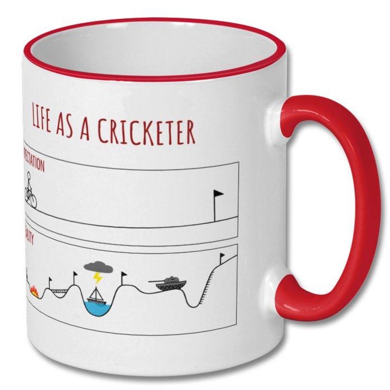 EXPECTATIONS VS REALITY Cricketer Funny Gift, Cricketer Gift, Cricketer ...