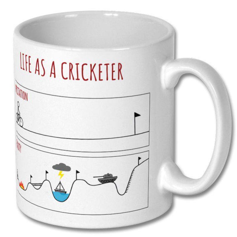 EXPECTATIONS VS REALITY Cricketer Funny Gift, Cricketer Gift, Cricketer ...