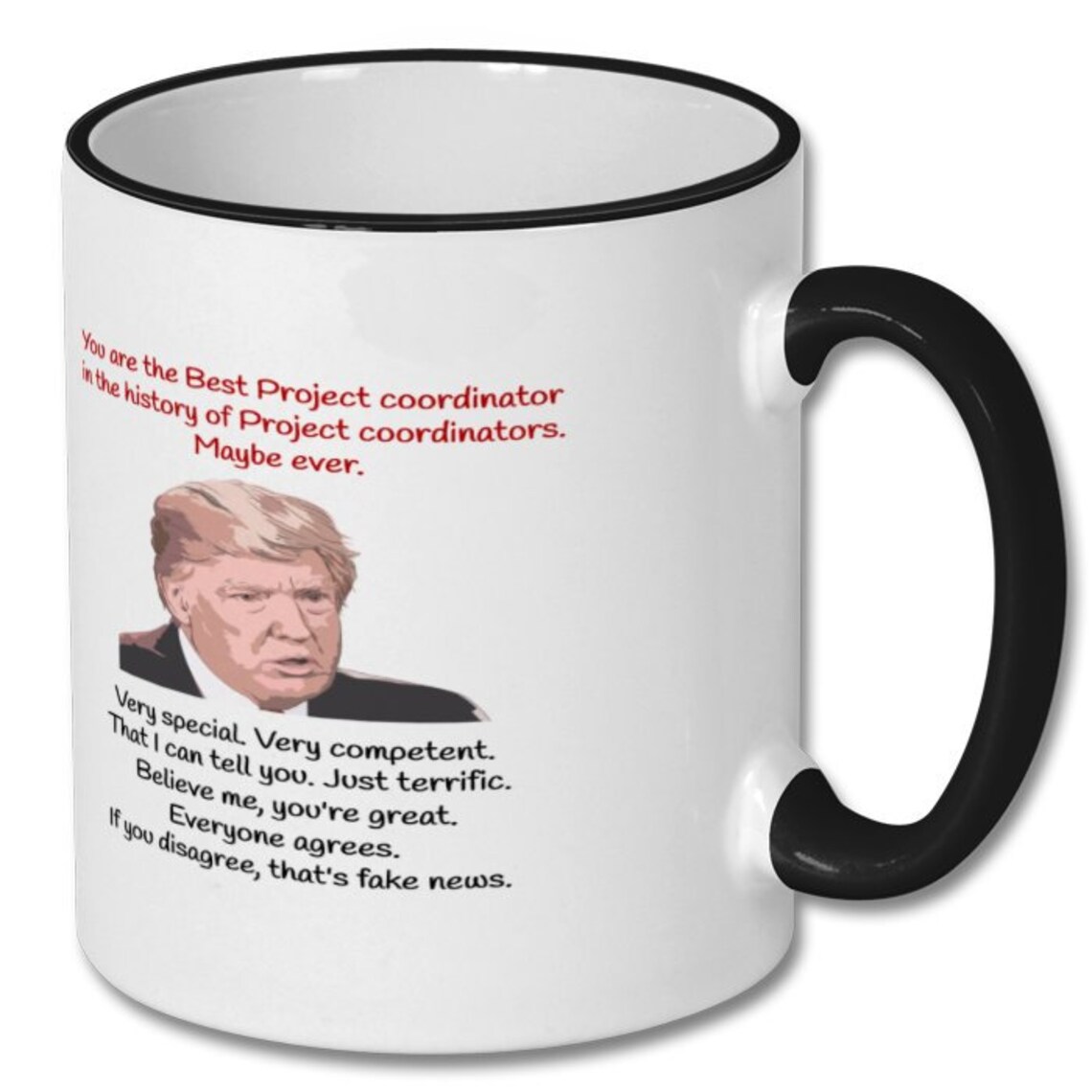 BEST PROJECT COORDINATOR Mug, Project Coordinator, Project Coordinator ...
