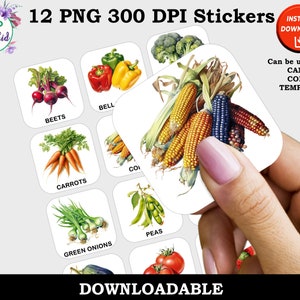 Printable Vegetable Garden Stickers, Print and Cut Digital PNG Sticker ...