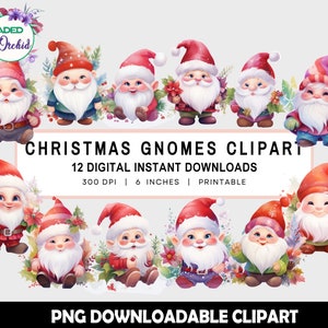 Printable Christmas Gnomes Clipart, Digital Gnome Clipart, 12 PNG ...