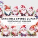 Printable Christmas Gnomes Clipart, Digital Gnome Clipart, 12 PNG ...