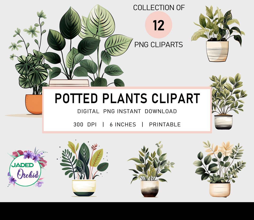 Digital Potted Plant Graphic Clipart - Versatile and Stylish Greenery ...