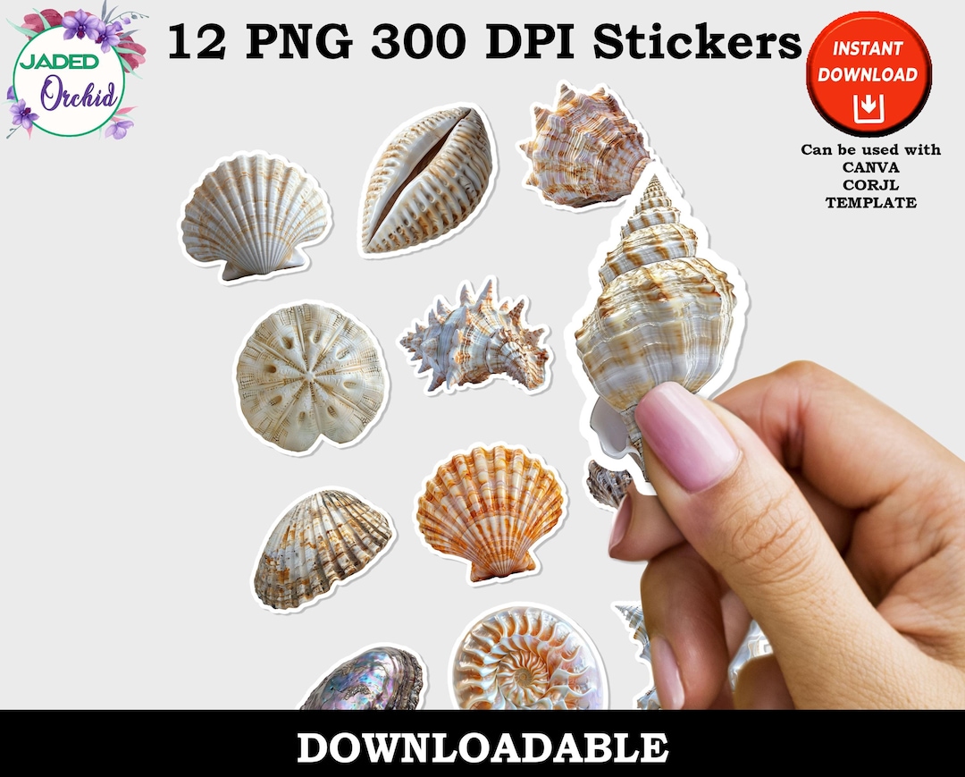Sea Shell Stickers Print and Cut PNG Sheets, 12 Different Designs ...
