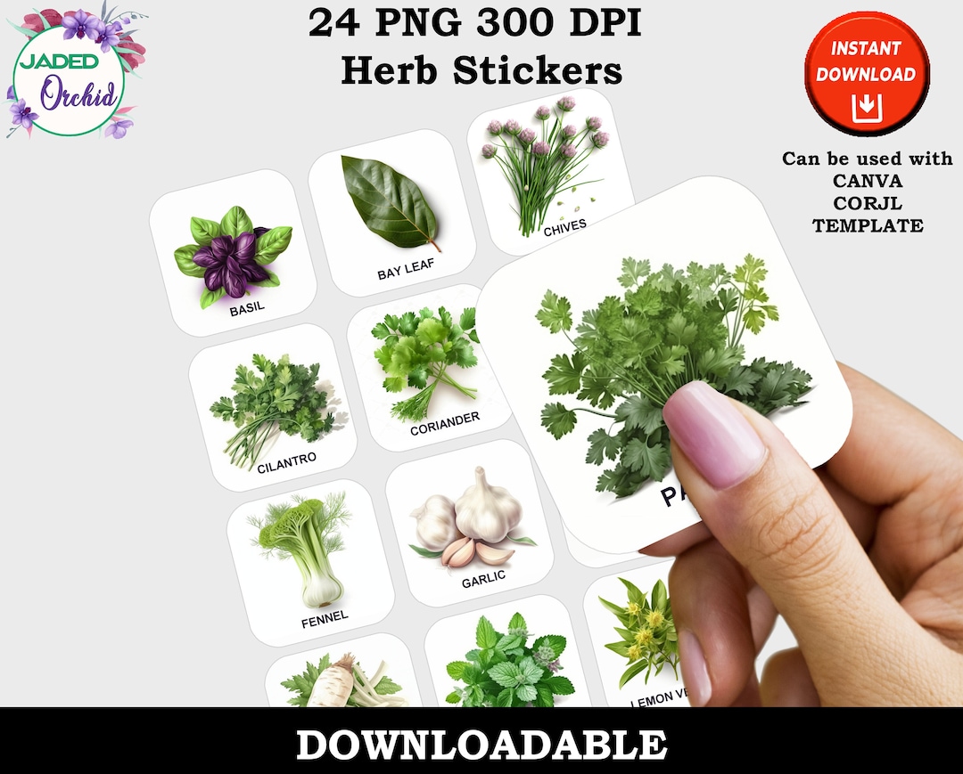 Herb Garden Stickers, Herbal Inspired Print and Cut Digital PNG Sticker ...