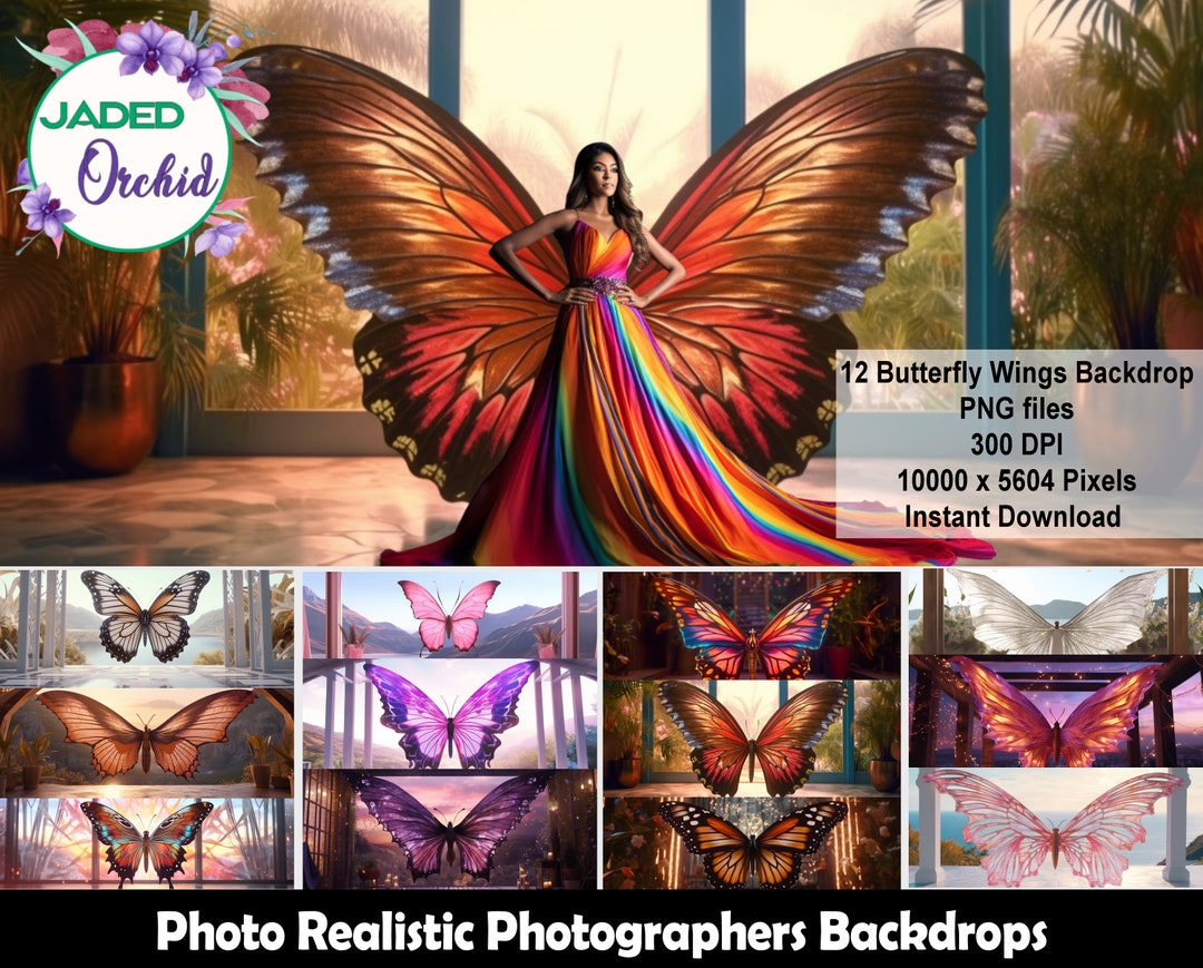 12 Beautiful Butterfly Backdrops, Digital Photo, 12 Butterfly ...