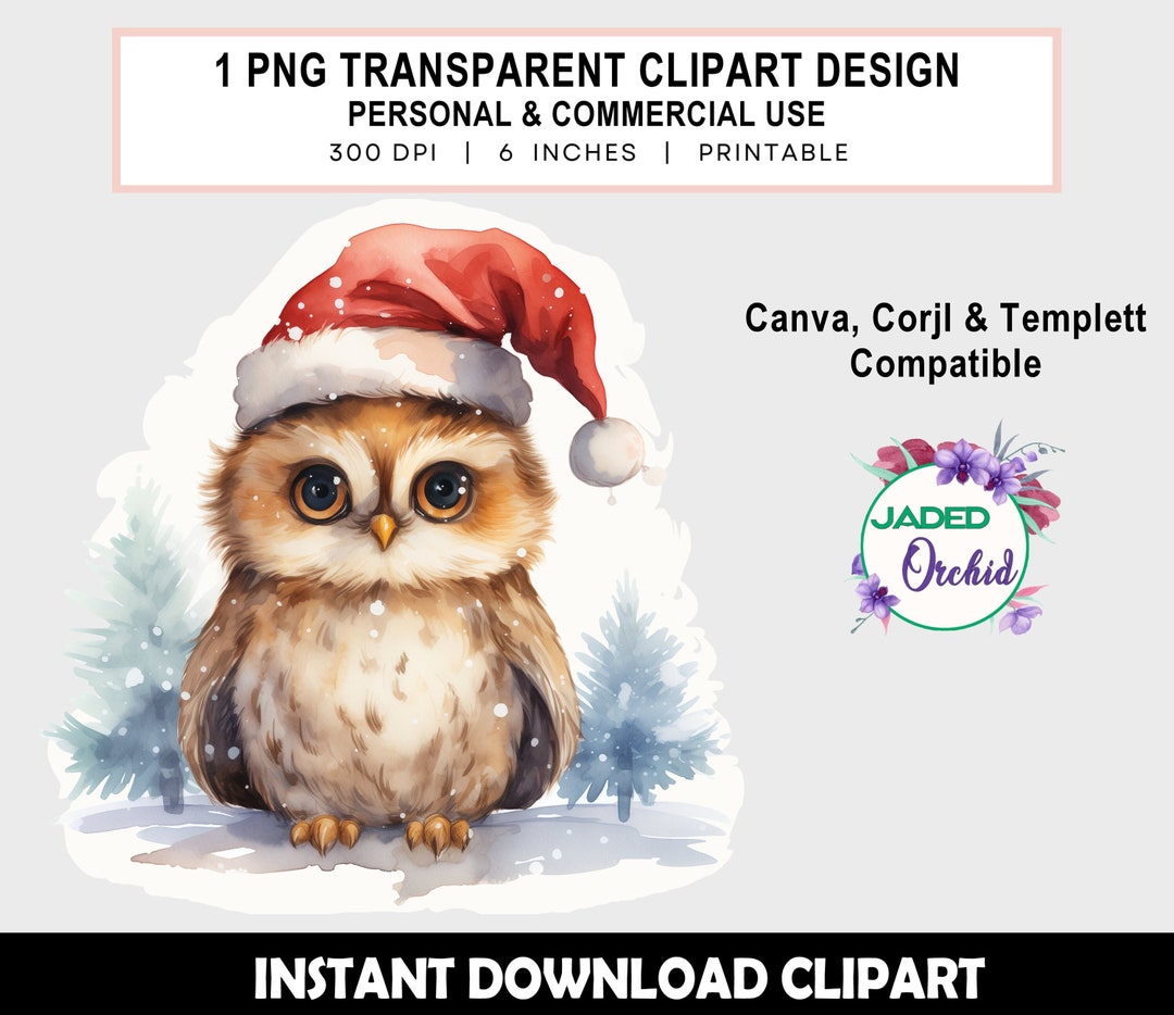 Watercolor Christmas Owl Clipart, Woodland Creature Clipart, Cute Owl ...
