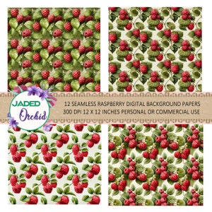 Printable Raspberry Digital Paper, Seamless Raspberry Pattern Paper ...