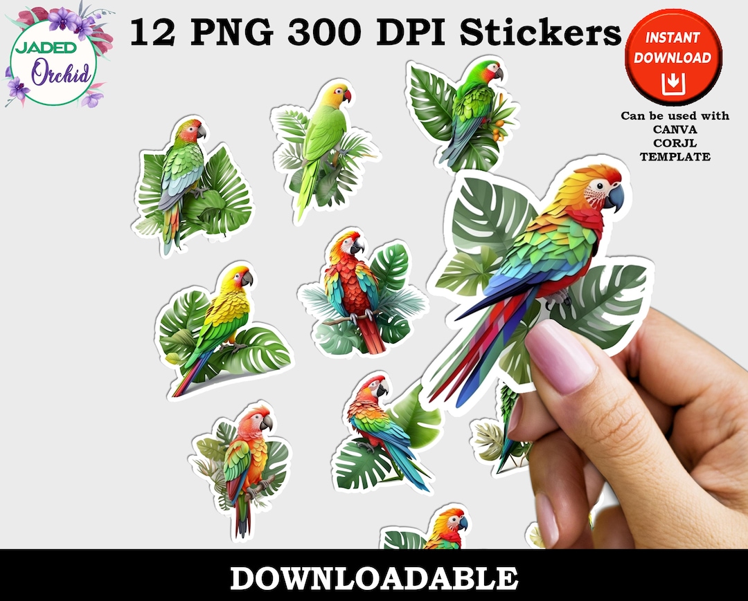Printable Realistic Parrot Stickers, Cute Parrot Stickers, 12 Print and ...