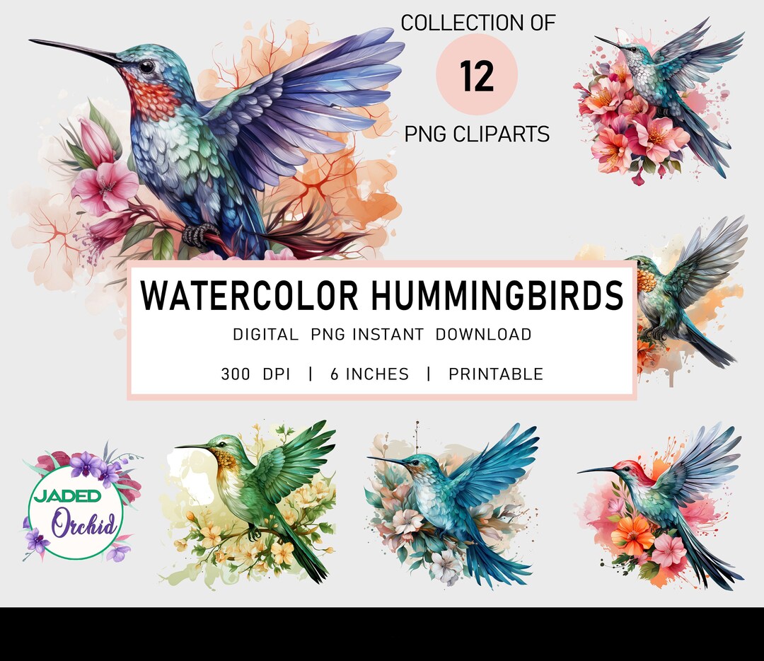Printable Hummingbird Clipart PNG Digital Download, Vivid Colorful ...