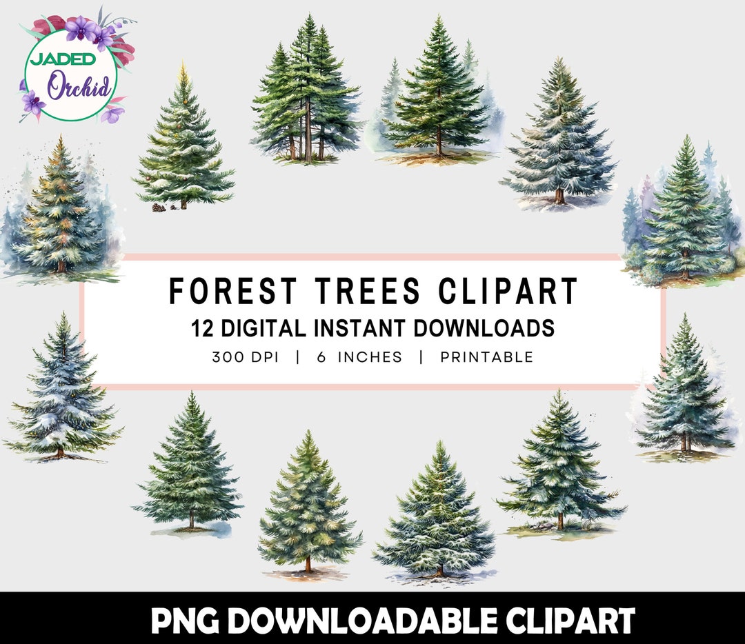 Watercolor Forest Digital Clipart Set, 12 PNG Clip Art, Watercolor Pine ...