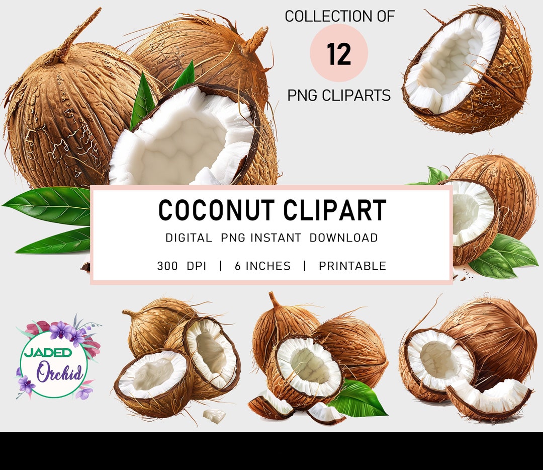 Coconut Clipart Collection, Tropical Clipart, 12 High-quality Art ...