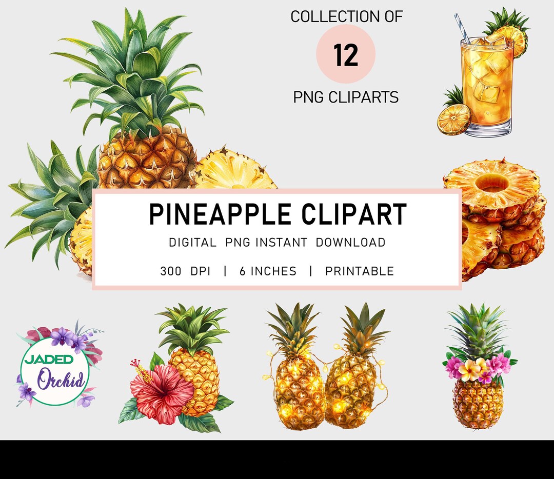 Tropical Pineapples Clipart, Summer Clipart, Tropical Pineapple Clipart ...