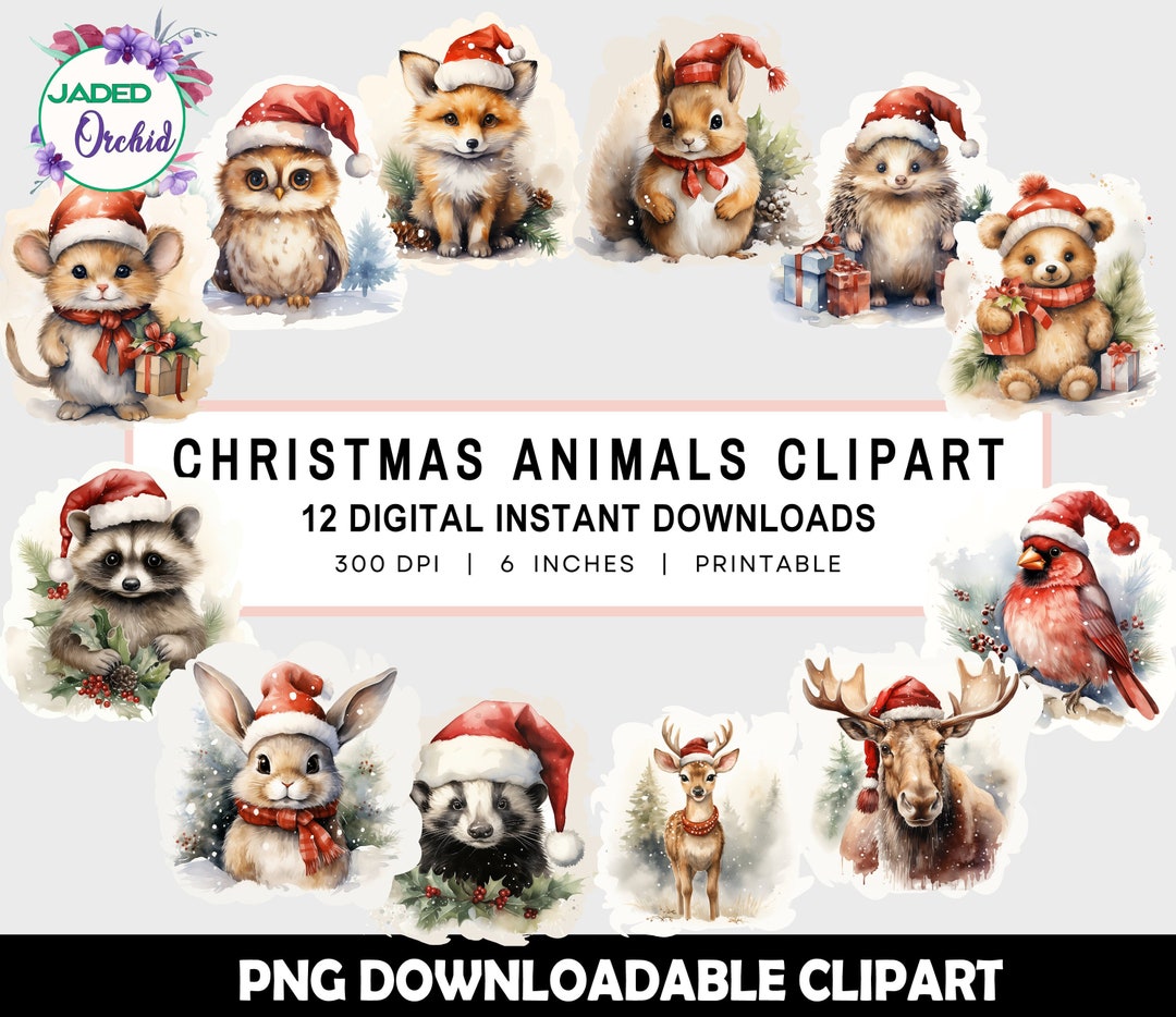 Watercolor Christmas Animal Clipart, Digital Animal Clipart 12 PNG ...