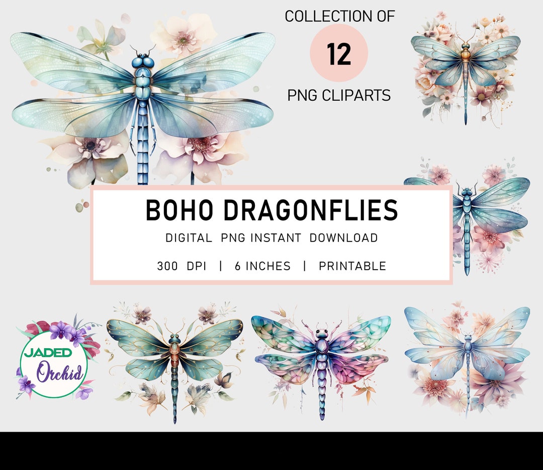 Boho Dragonfly Clipart PNG Digital Download, Vivid Boho Colorful ...
