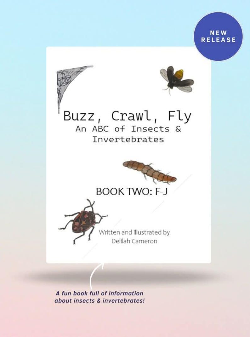 Buzz, Crawl, Fly - an Abc of Insects & Invertebrates Series Books 1-5 ...