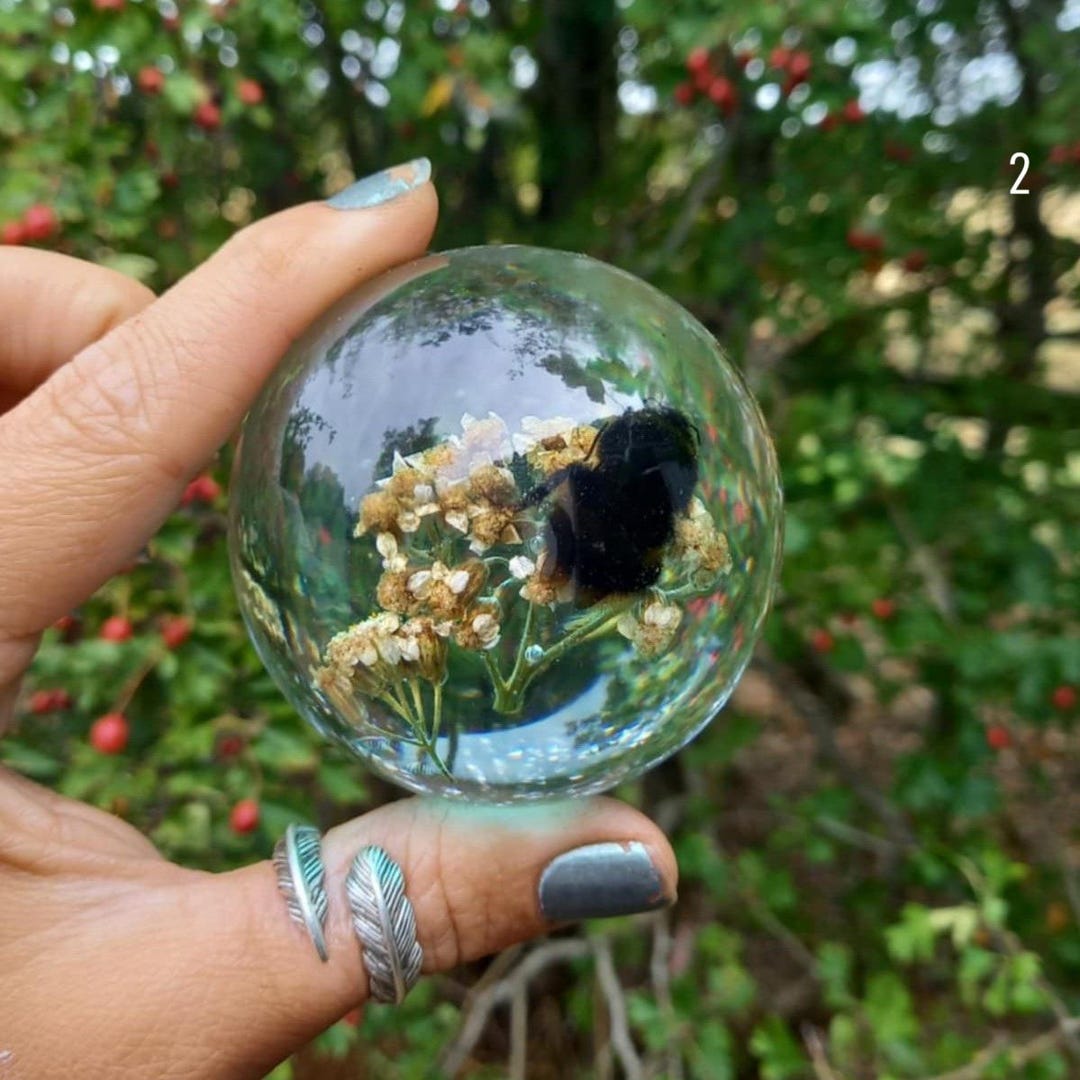 Real Bumble Bee Paperweight: Handmade Nature Preservation Desk Decor - Etsy
