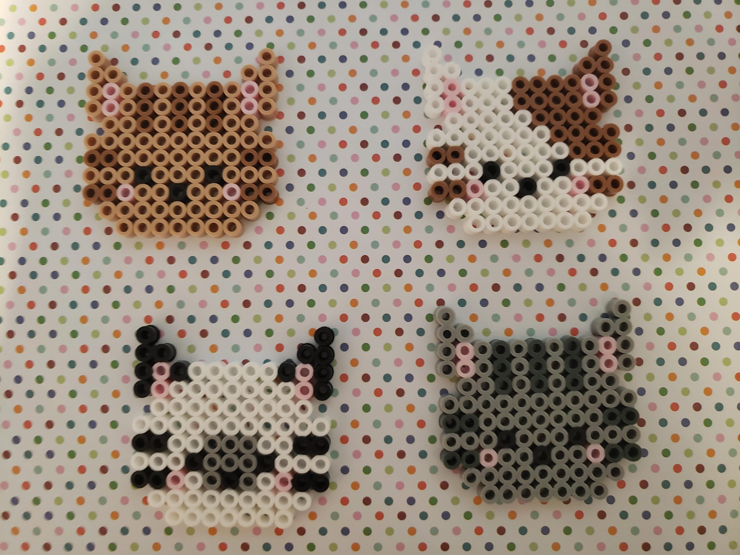 Set of 4 Kitten Perler Bead Magnets - Etsy
