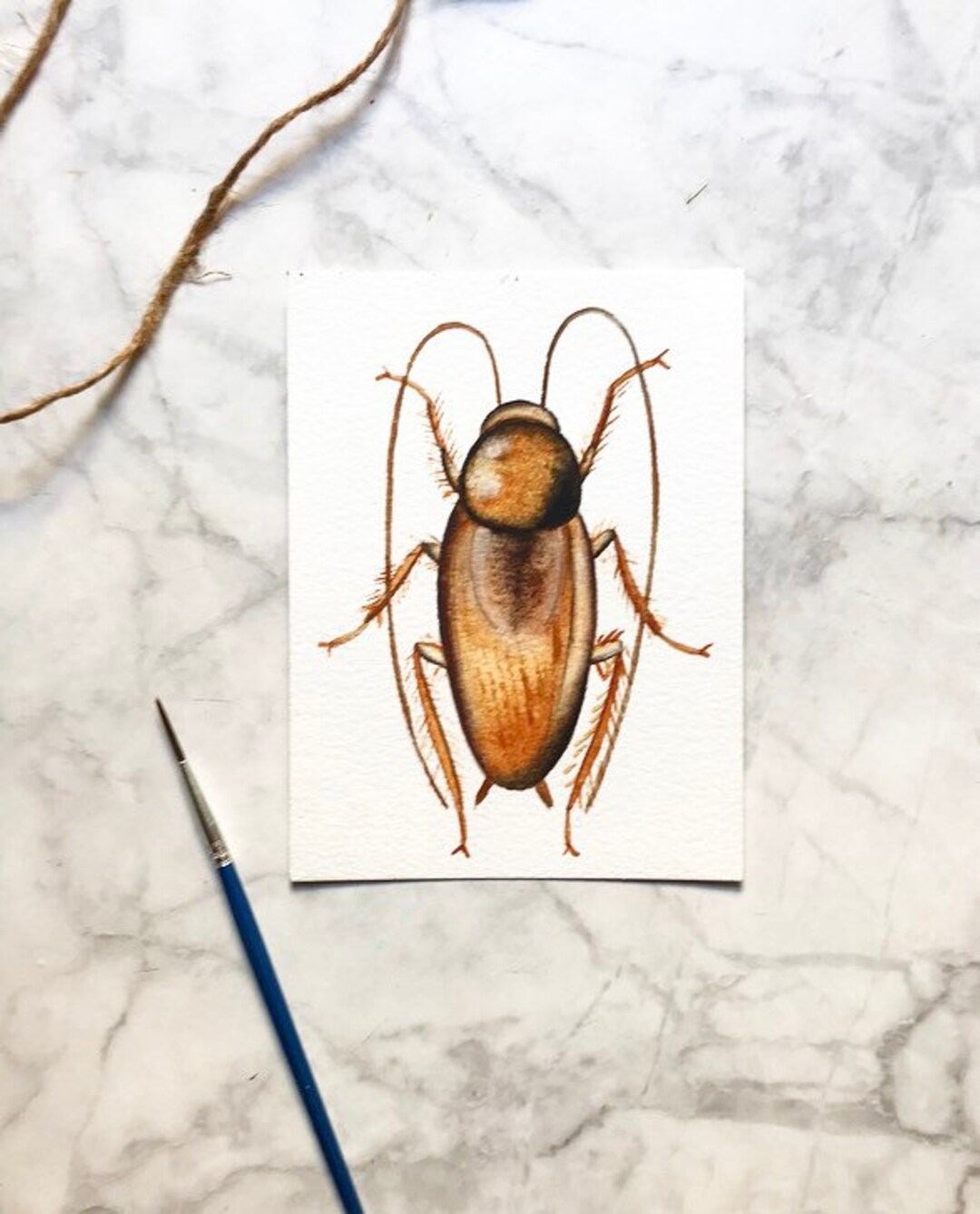 Original Watercolors Illustration Painting Picture Decoration ...