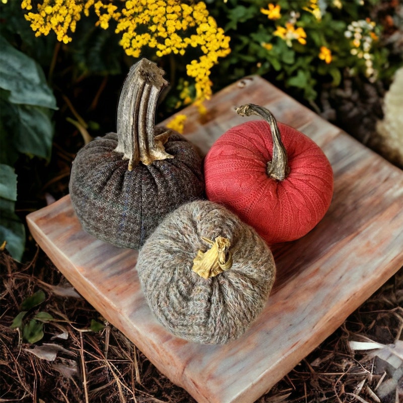 Wool Pumpkin - Etsy
