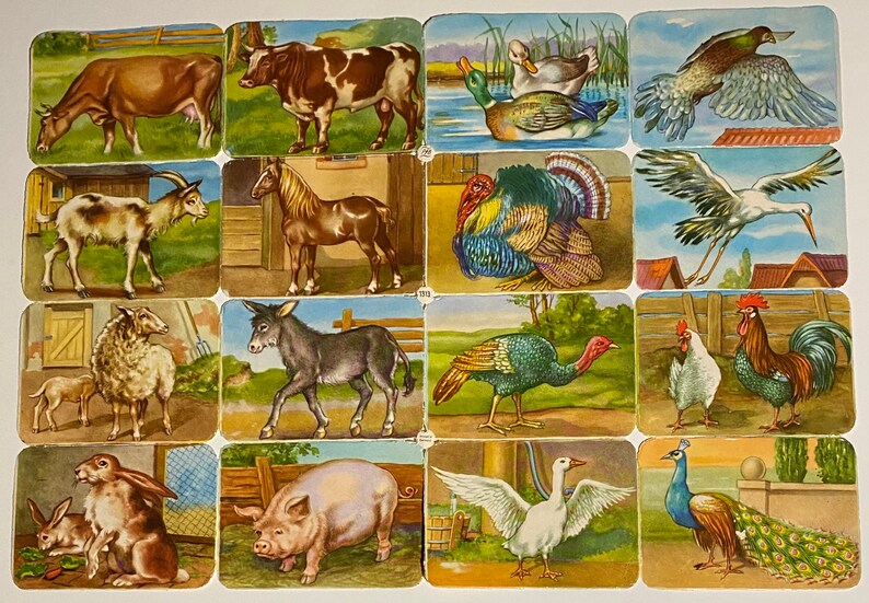 1 Vintage Animals Scraps Die-cut Sheet PZB Germany 1313 Cow - Etsy