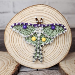 DIY Kit or MTO Luna Moth String Art Ornament - Etsy