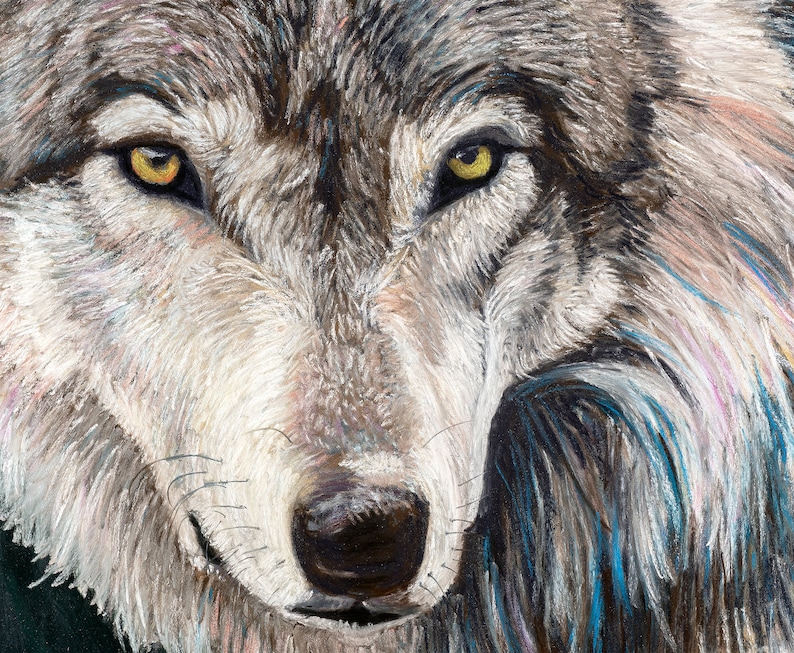 Wolf Painting, Animals, Wildlife Artwork, Colorful Wall Art - Etsy