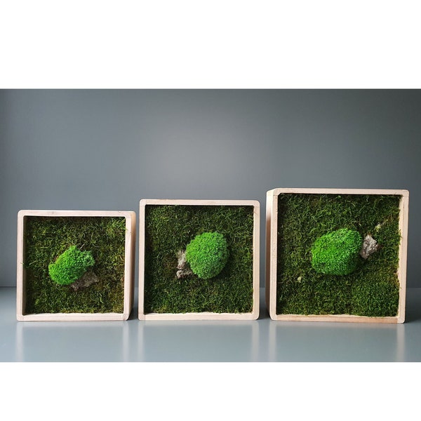 Moosbilder - Etsy.de