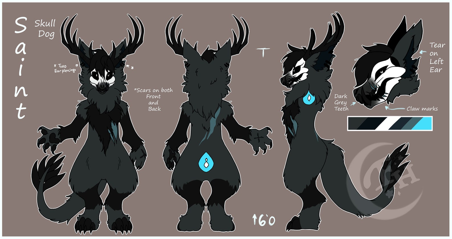 Reference sheet Commission | Etsy