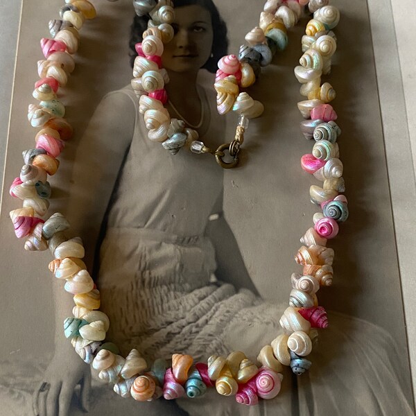 Trochus Shell - Etsy