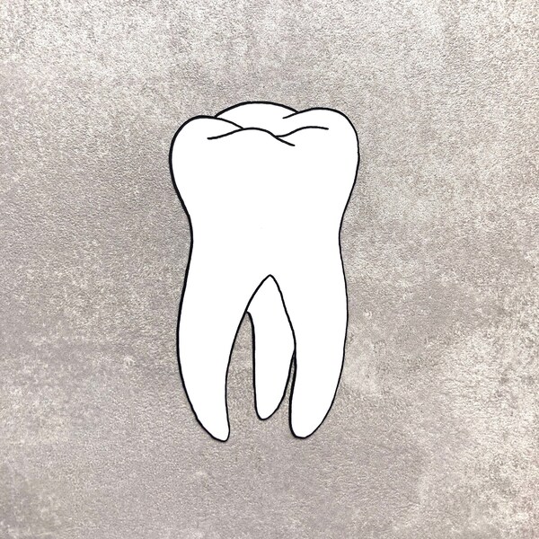 Dental Anatomy Stickers - Etsy