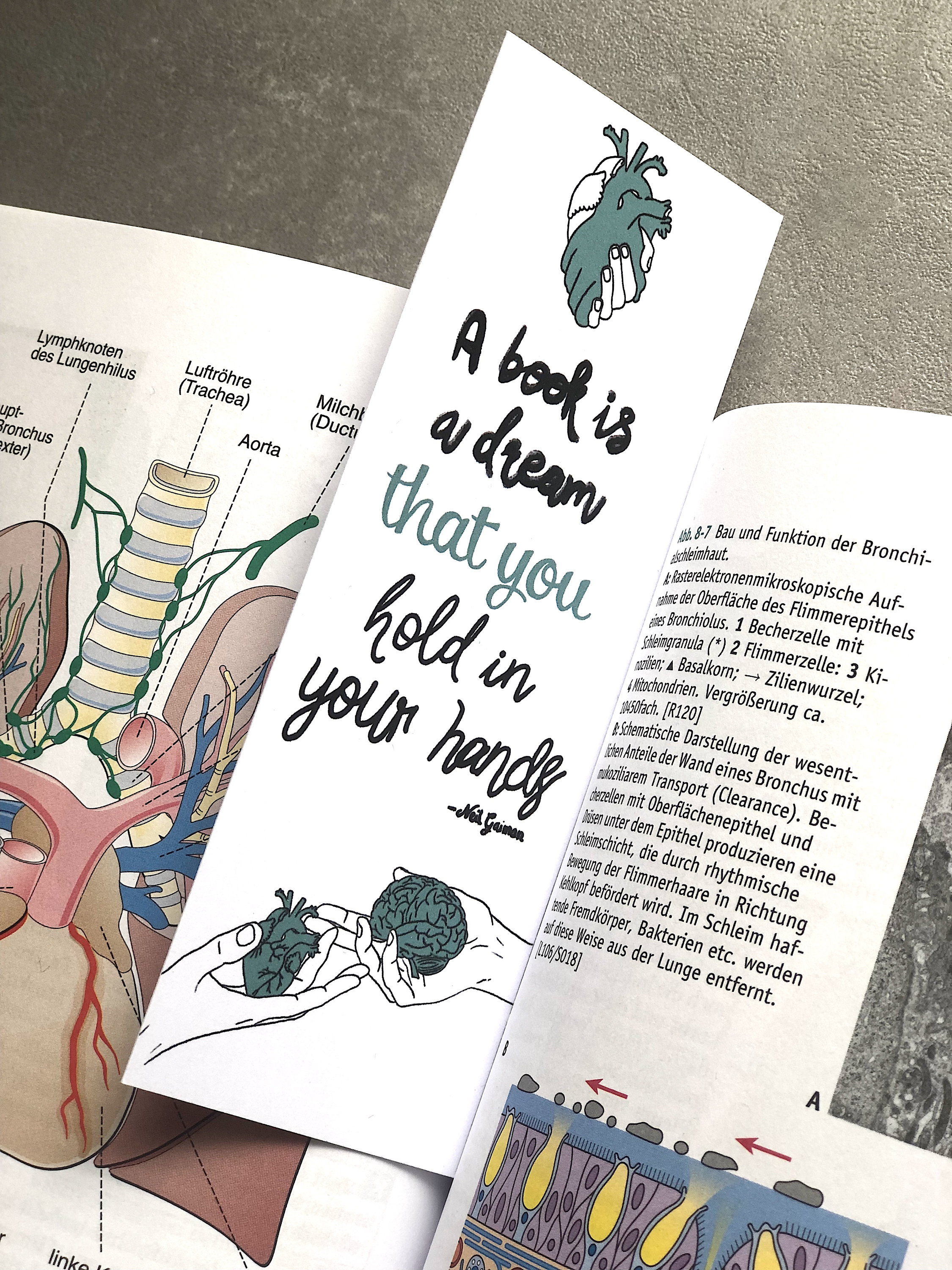 Set of 5 bookmark anatomy bookmark medicine bookmark paper | Etsy