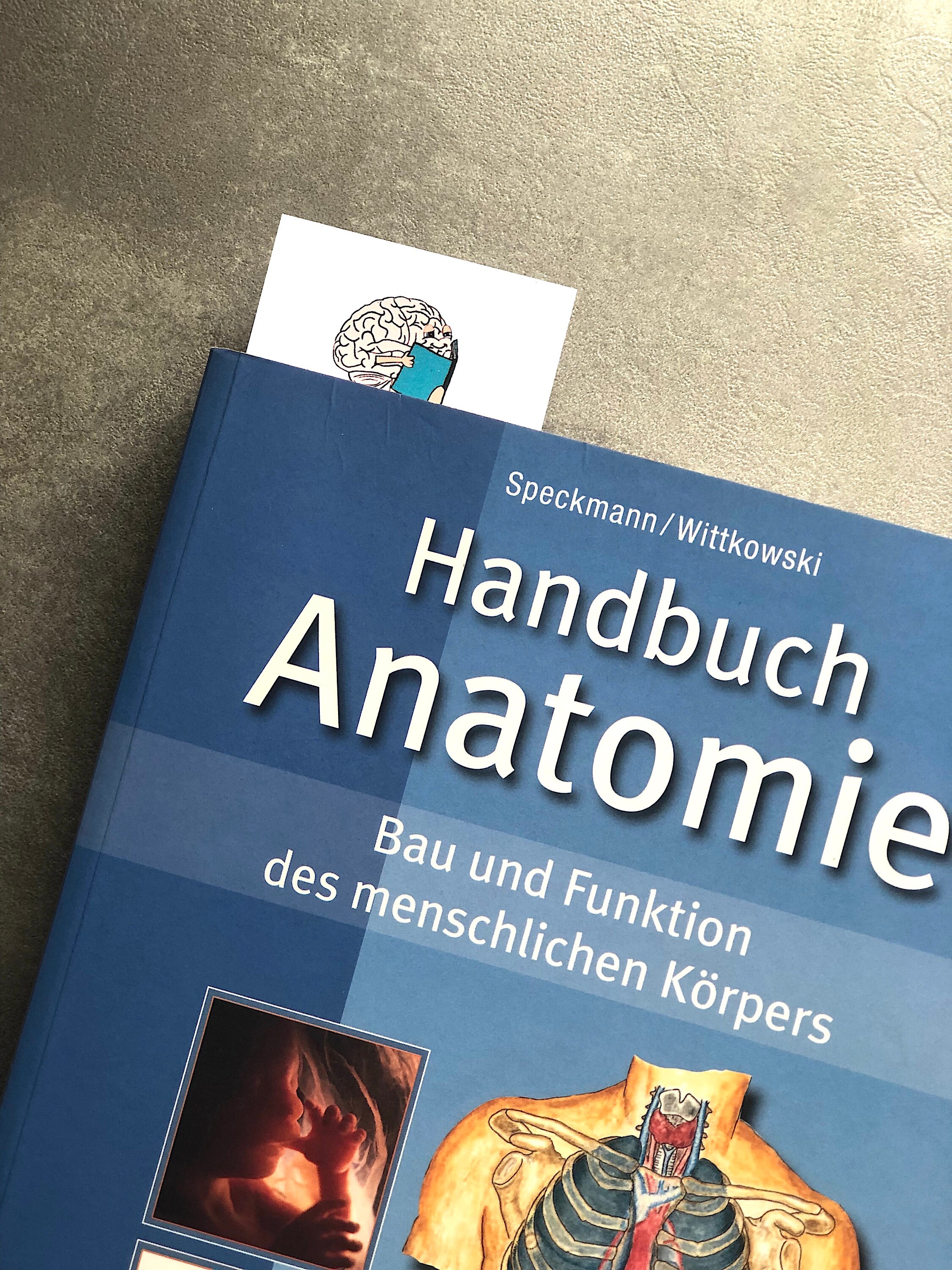 Set of 5 bookmark anatomy bookmark medicine bookmark paper | Etsy