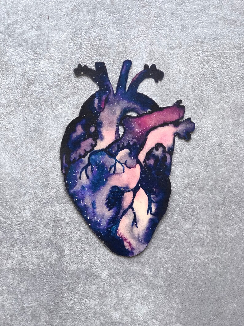 High Quality Anatomy Stickers Human Heart Laptop Stickers | Etsy