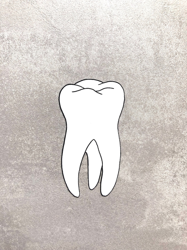 STICKER - Tooth Stickers, Tooth Stickers, Anatomy Stickers, Laptop ...