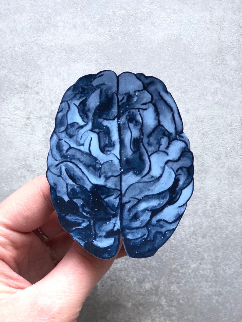 STICKER Anatomy Sticker, Human Brain, Laptop Sticker, Brain Sticker ...