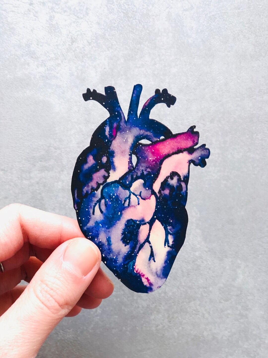 High Quality Anatomy Sticker Human Heart Laptop Sticker - Etsy