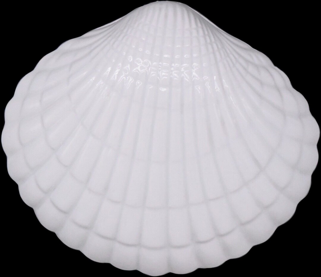 France Porcelain Clam Shell Jewelry Trinket Box 4-1/4 X 5-1/8 - Etsy