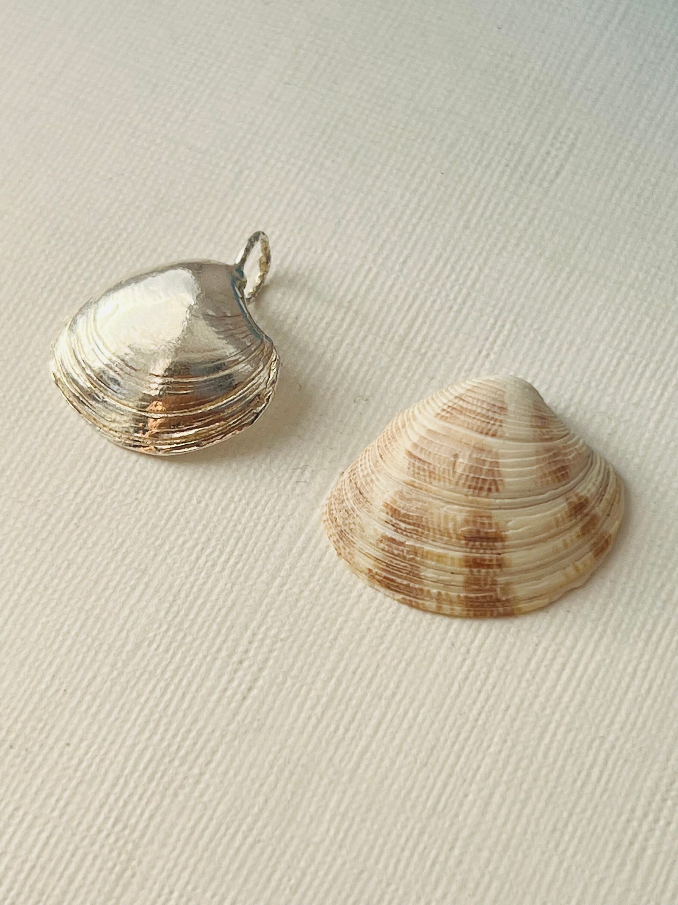 Large Silver Seashell , Clam Seashell ,handmade Silver Shell.hand Cast ...