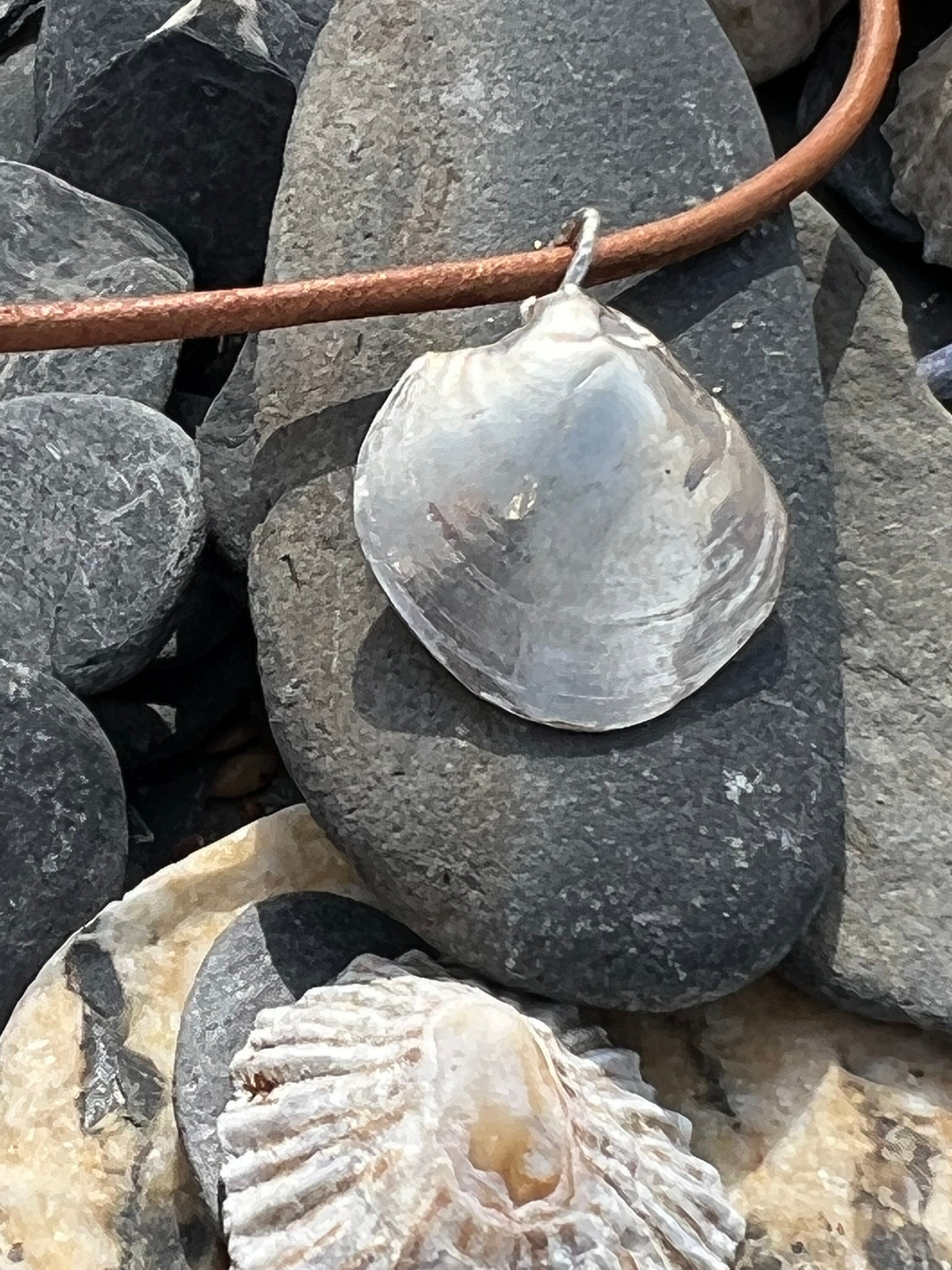 Solid Silver Cornish Venus Clam Seashell Handmade From a Mould Taken ...