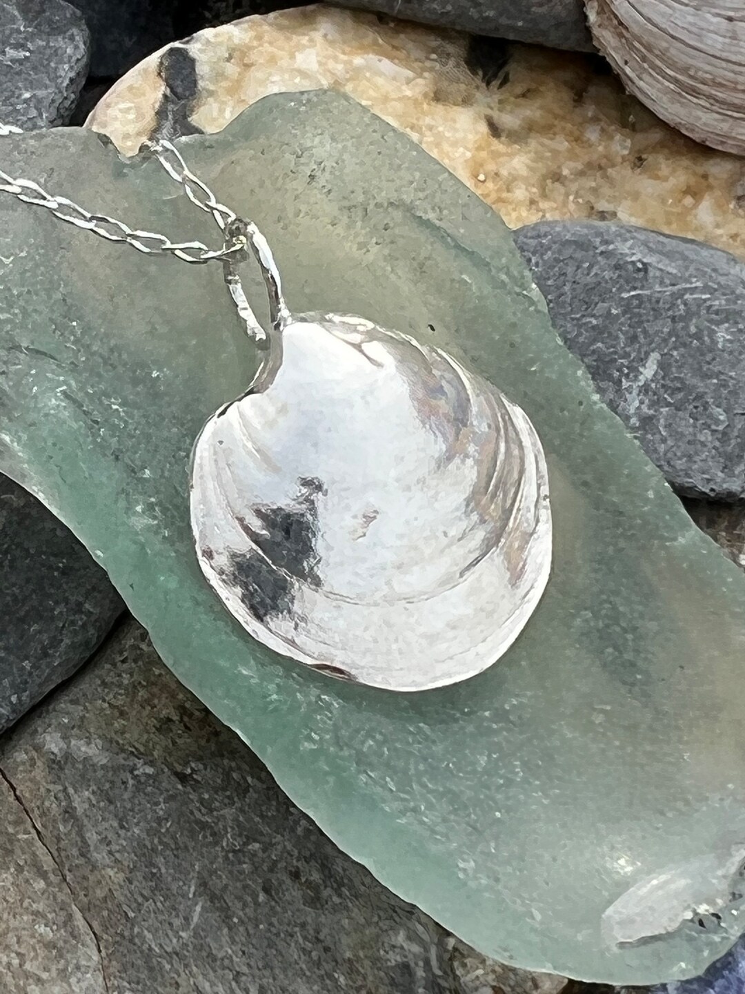 Cornish Venus Clam Seashell , Seashell Handmade From a Mould Taken From ...