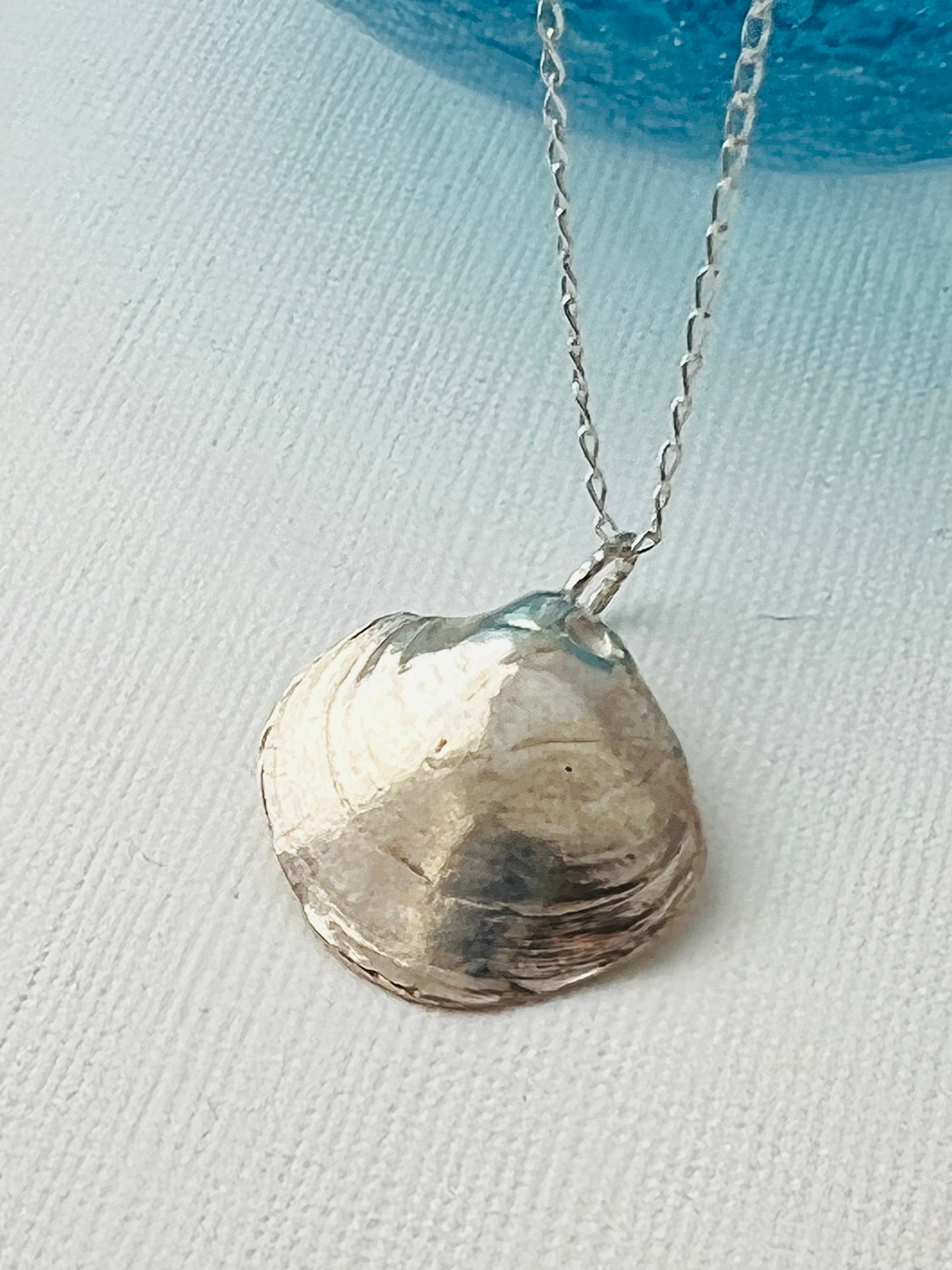 Solid Silver Cornish Venus Clam Seashell Handmade From a Mould Taken ...