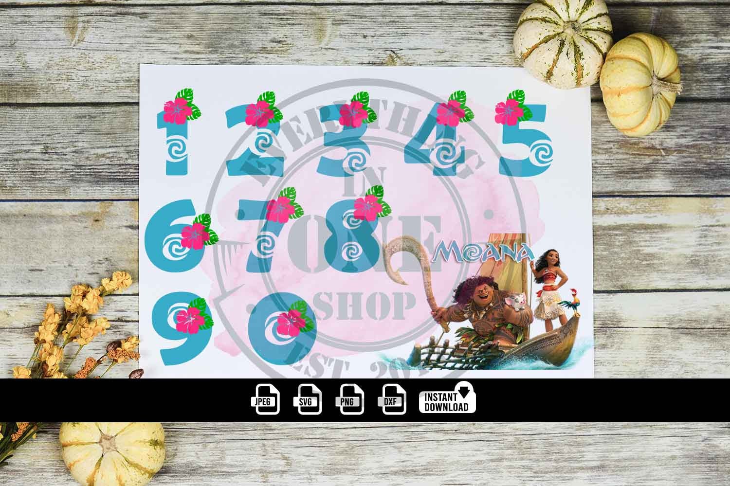 Moana Numbers svg Moana svg Disney Alphabet svg Disney | Etsy