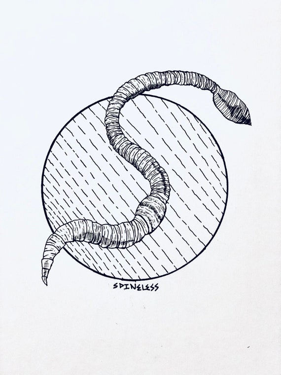 Tapeworm Drawing