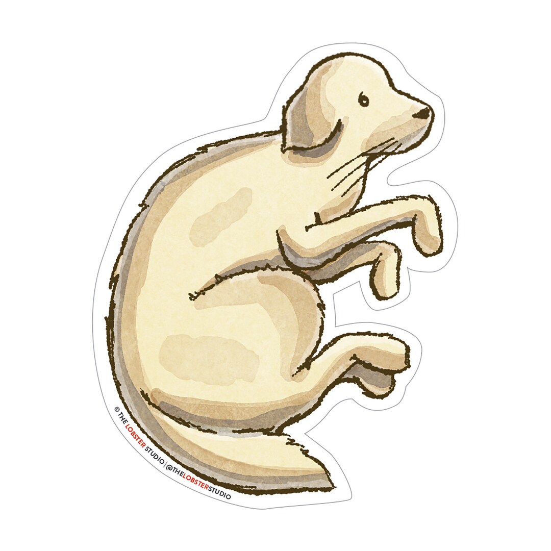 Relaxing Phinn Vinyl Sticker - Etsy