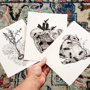 Dandelion Flower Seed Puff, Gallery Wall Art, Botanical Print, Vintage ...